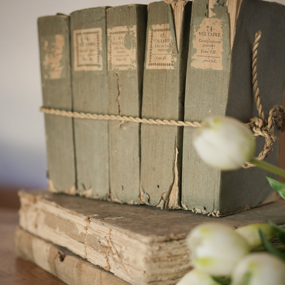 French Antique Study Items