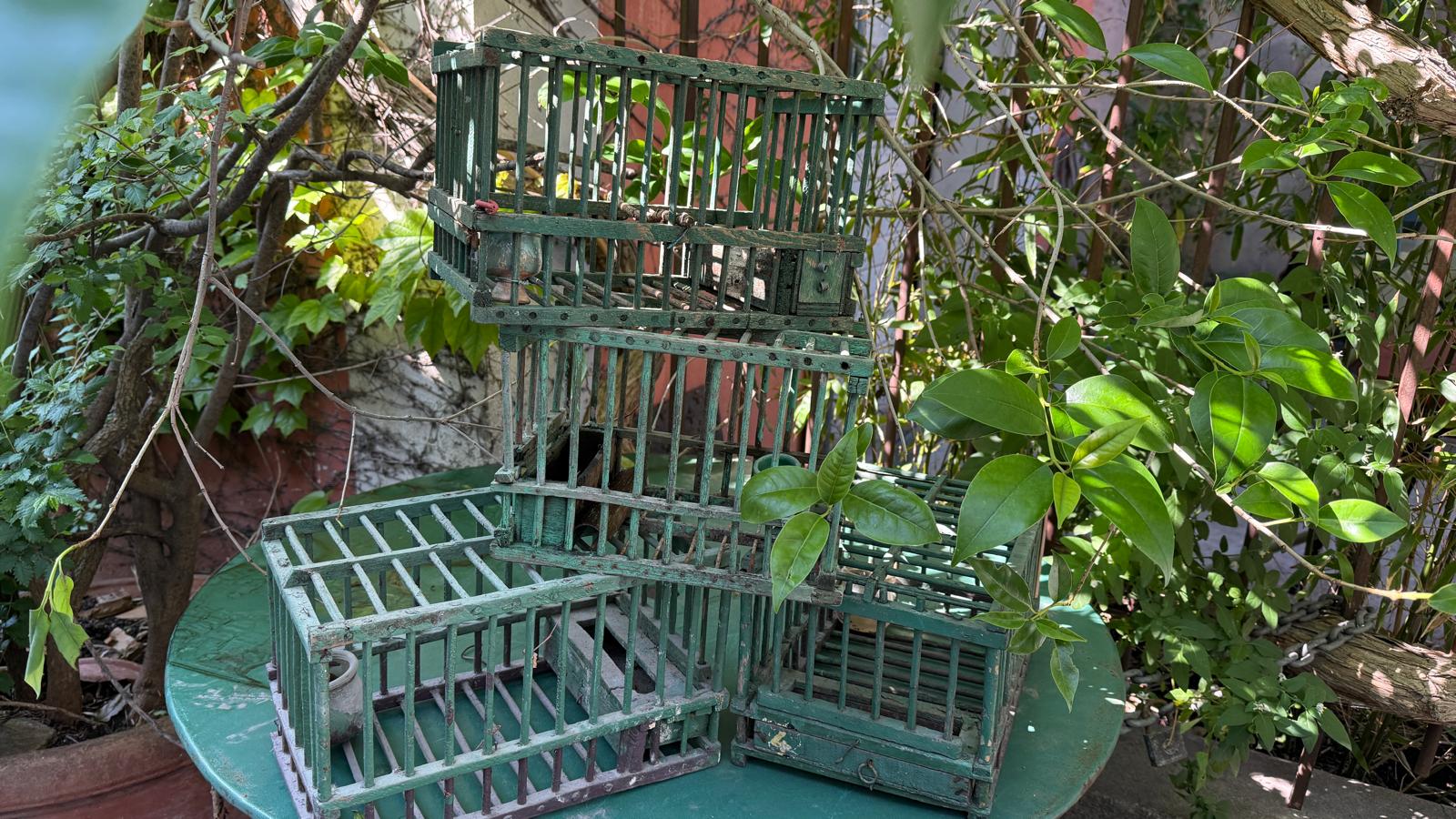 Two small antique French bird cages w/ green patina