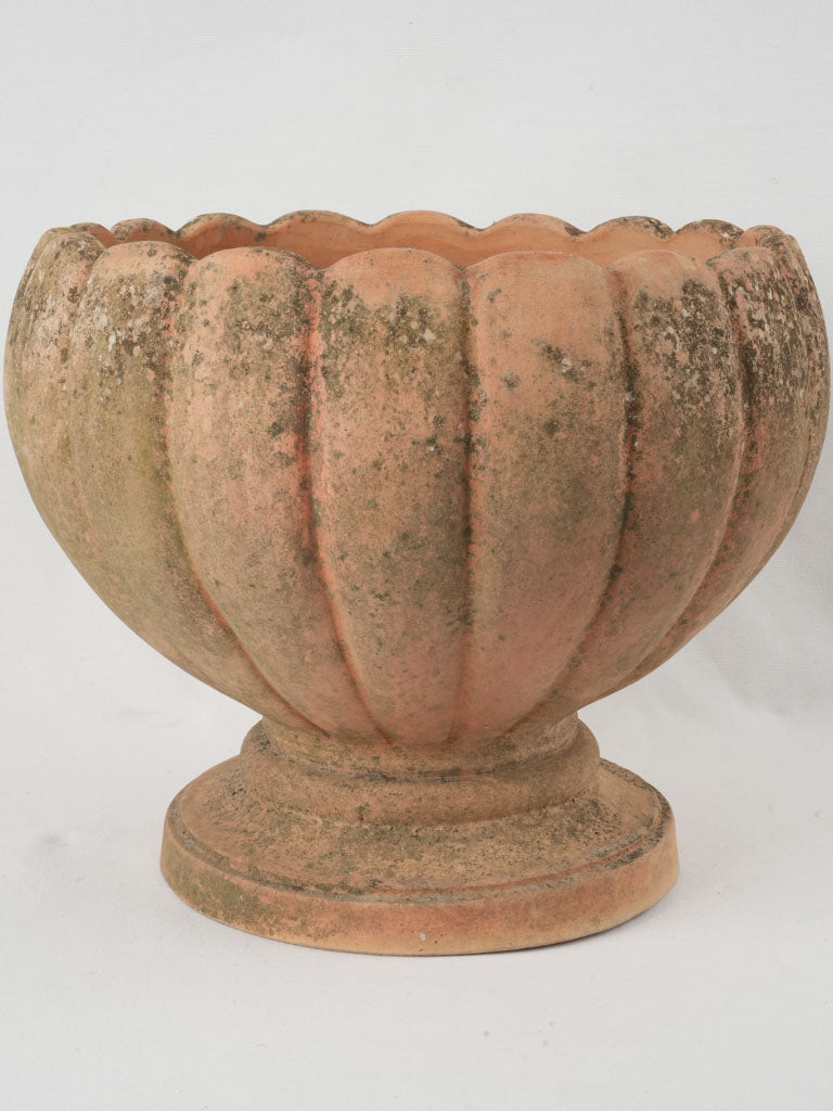 Antique coup-shaped terracotta garden planter 17"