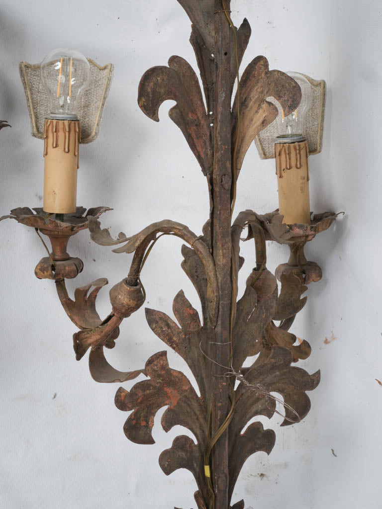 Grand pair of antique three-light Italian sconces w/ gilded acanthus l ...