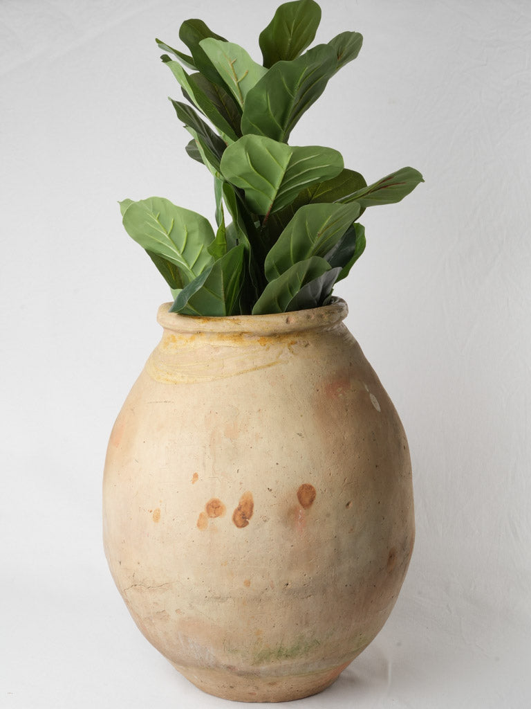 19th century Biot olive jar 23¾" – Chez Pluie
