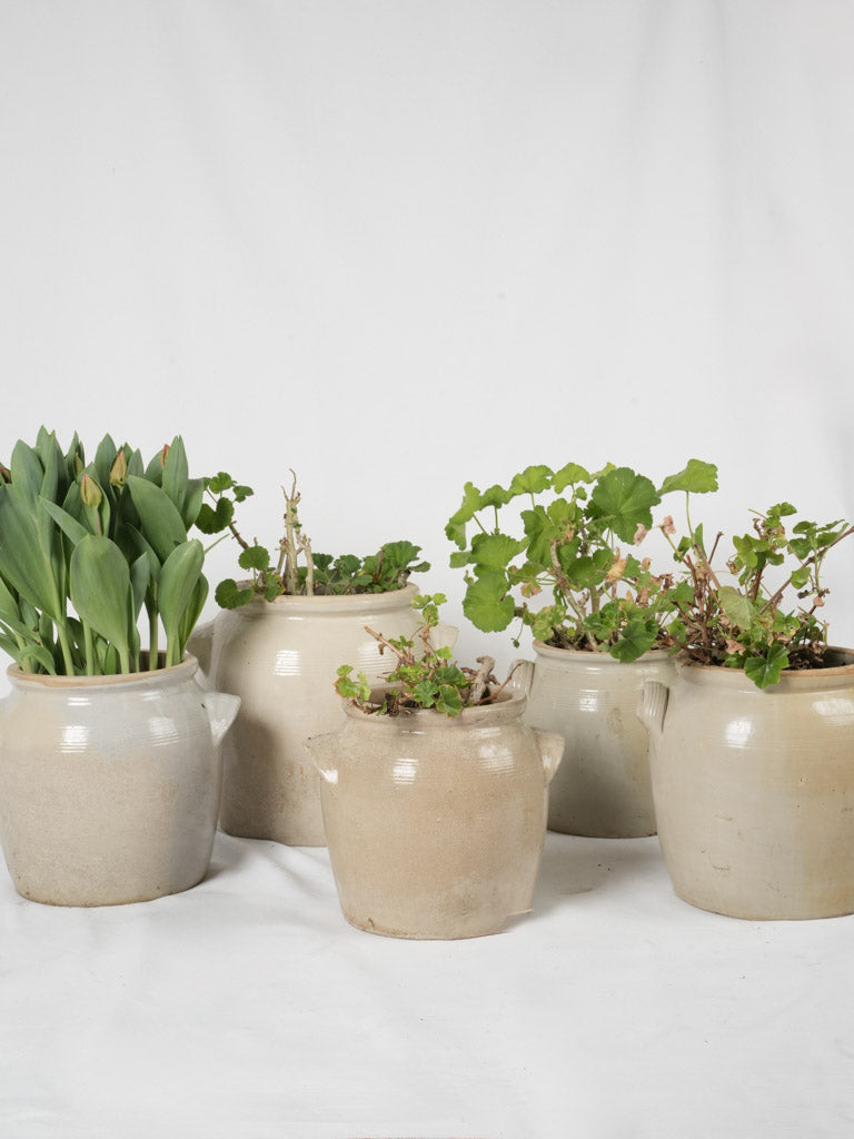 Collection of 5 antique French ironstone crocks - beige glaze – Chez Pluie