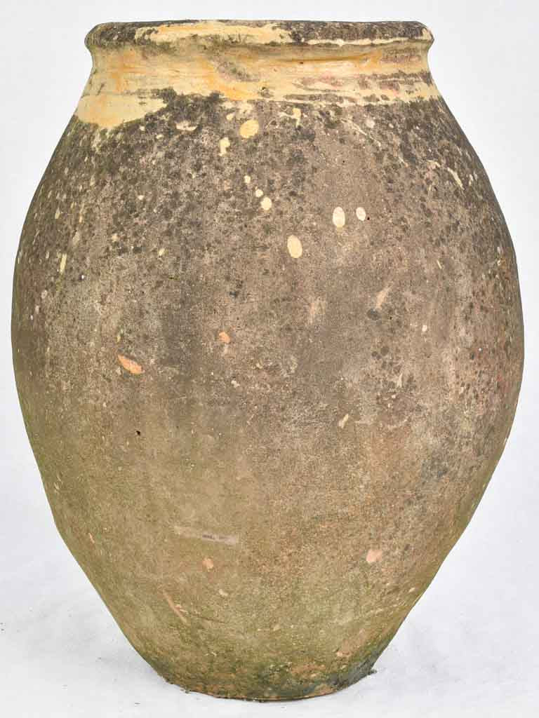 Antique French olive jar 22¾" – Chez Pluie