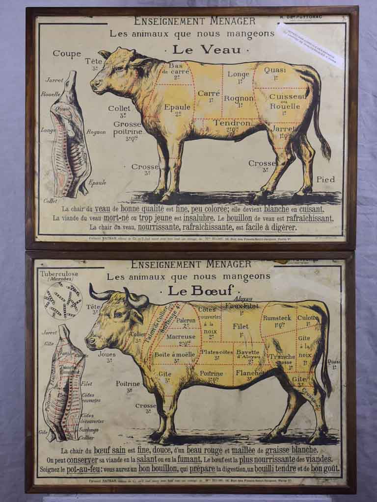 Antique French butcher's cut charts - beef and veal – Chez Pluie