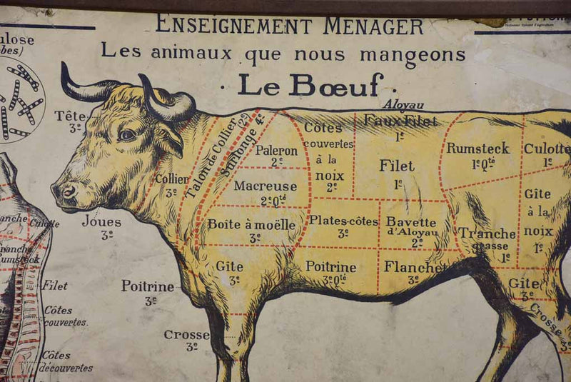 Antique French butcher's cut charts - beef and veal – Chez Pluie