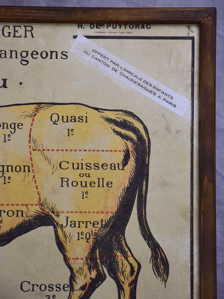 Antique French butcher's cut charts - beef and veal – Chez Pluie