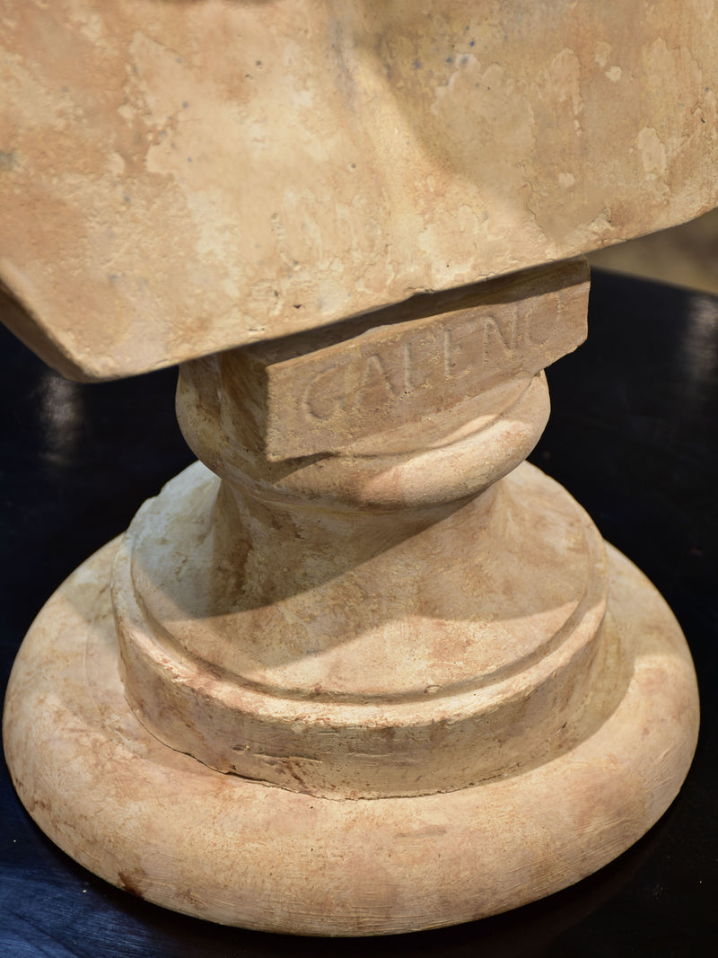 Late 18th century bust of Galen of Pergamon – Chez Pluie